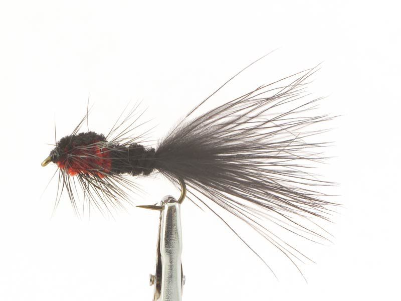 Fluga Dano - Montana Hökensås - 8