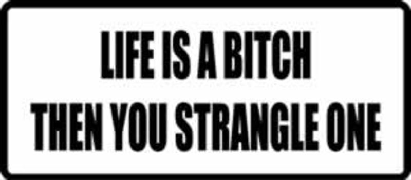 "LIFE IS A BITCH..." 200x88mm