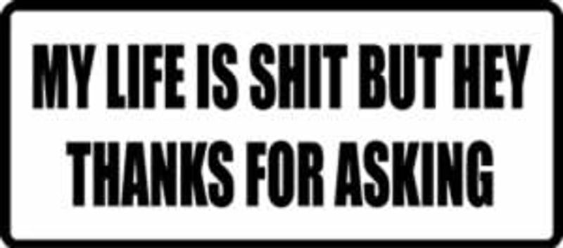 "MY LIFE IS SHIT..." 400x176mm