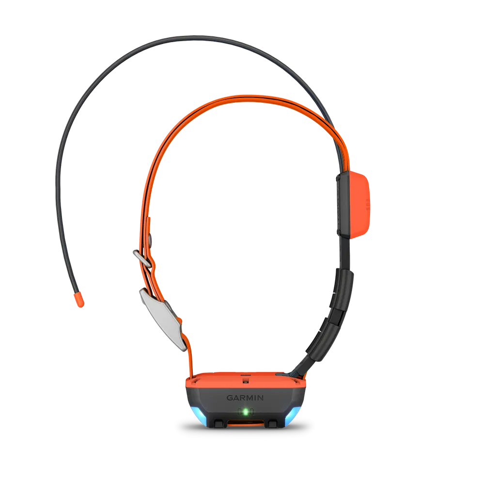 Garmin Alpha T20