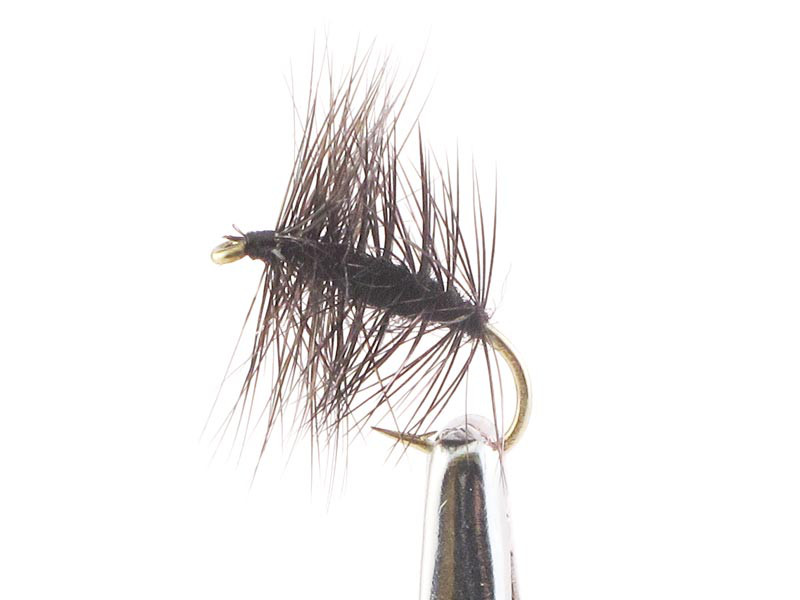 Fluga Dano - Black Palmer - 12