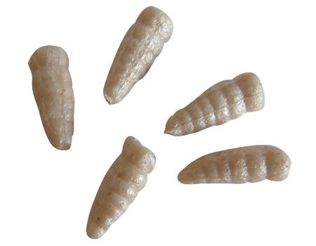 PowerBait Micro Maggots - White