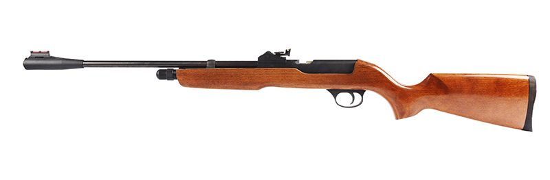 Bolt action CO2 air rifle