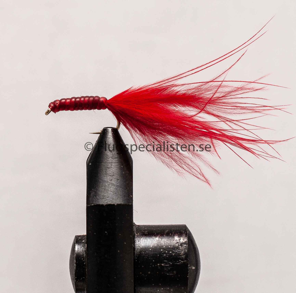 Buy GV Bloodworm | Fly fishing is our thing | The flyspecialist