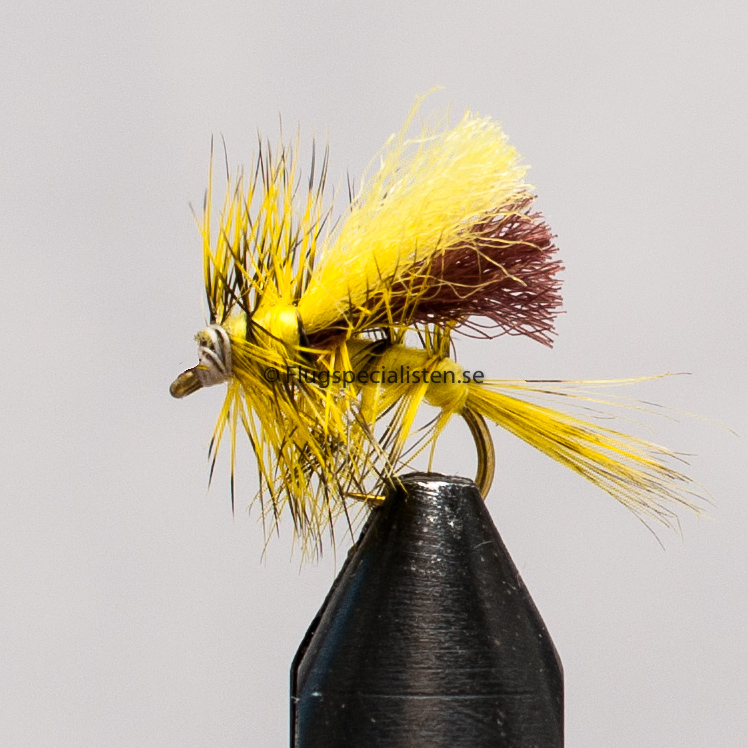 Buy Winnie the Pooh Honey size 14 | Fly fishing is our thing | The ...