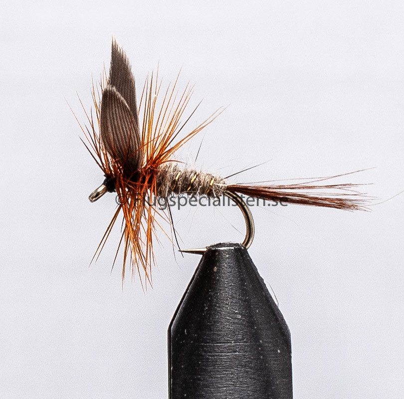 Kjøp Hareørenymfe Gold Ribbed | Fluefiske er vår greie | Flue-spesialisten