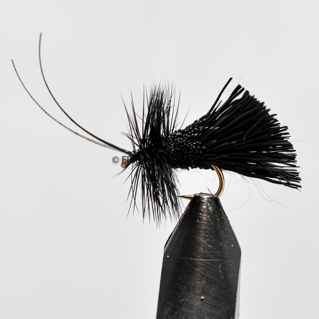 Goddard caddis