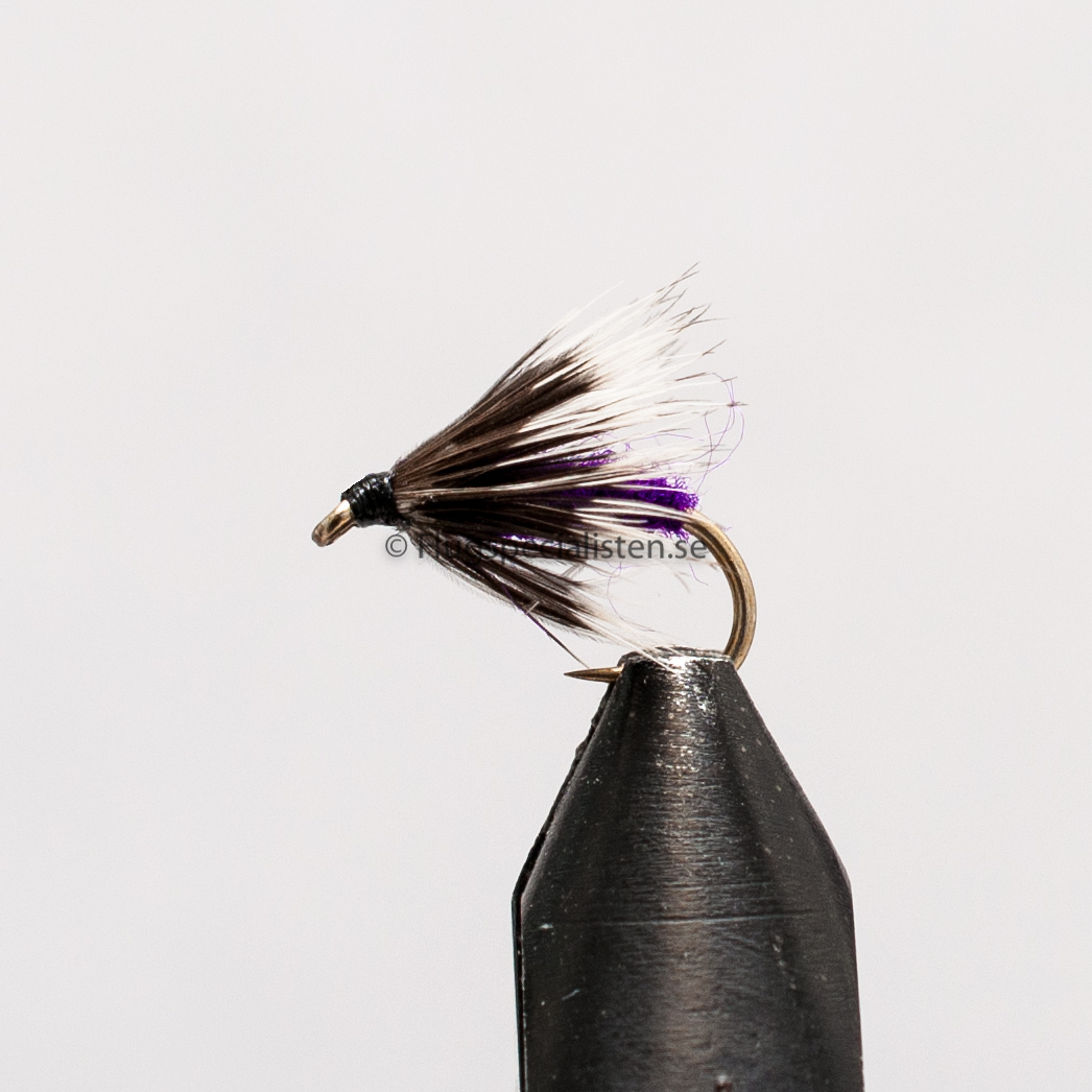 Buy Snipe & Purple size 12 | Fly fishing is our thing | The flyspecialist