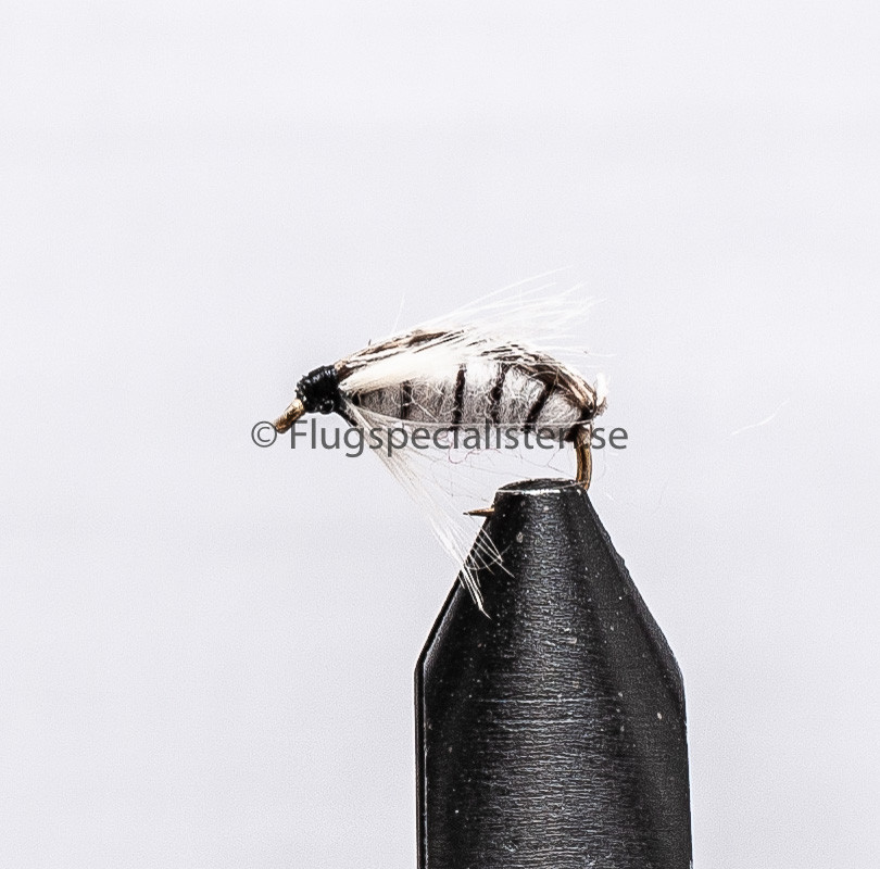 Buy Corixa | Fly fishing is our thing | The flyspecialist