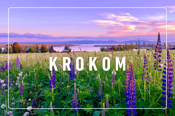 Krokom