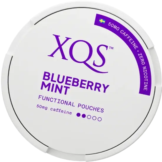 XQS Blueberry Mint Zero